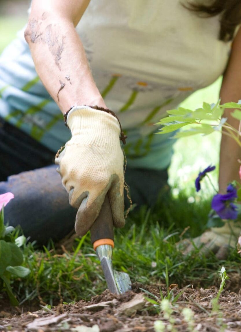 Landscaping Insurance | Thimble