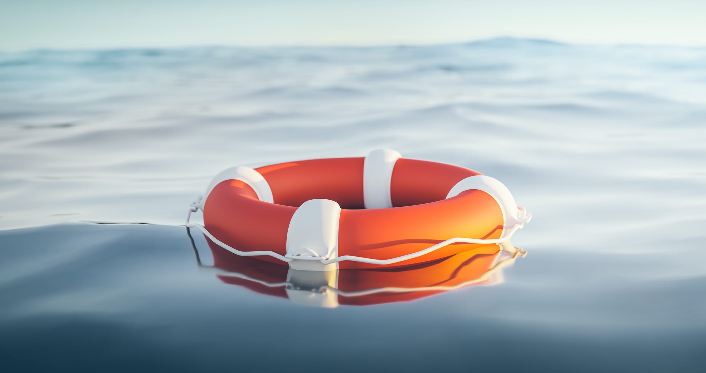 What Does Bonded Licensed And Insured Actually Mean 