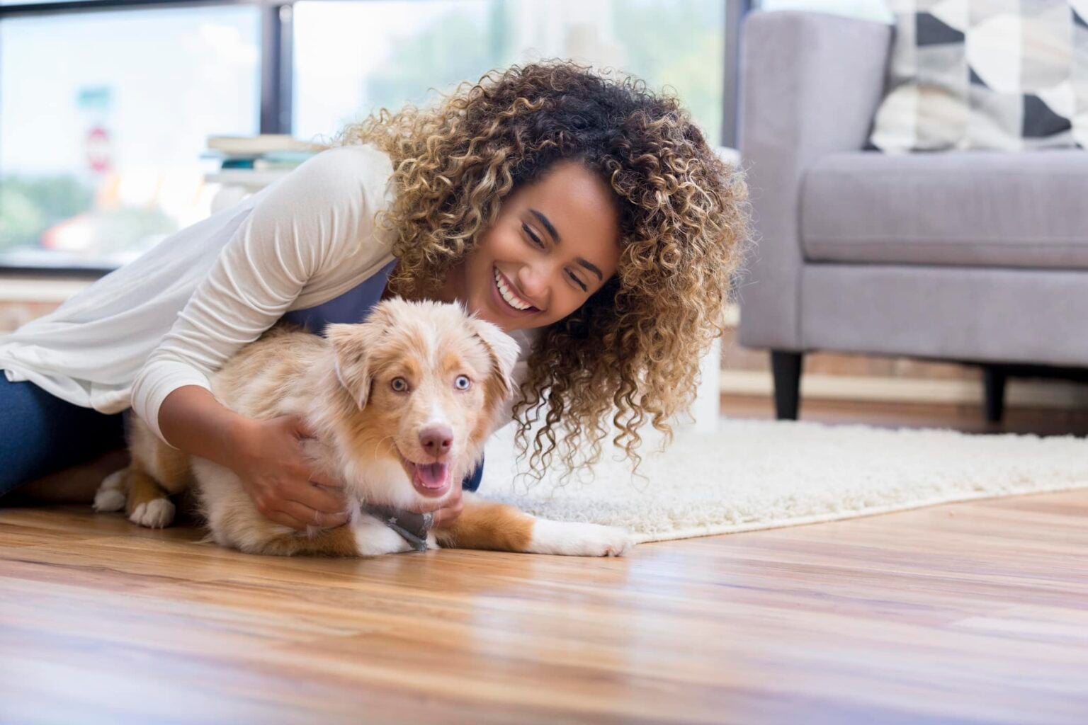 Pet Sitting Insurance - Instant Online Coverage | Thimble